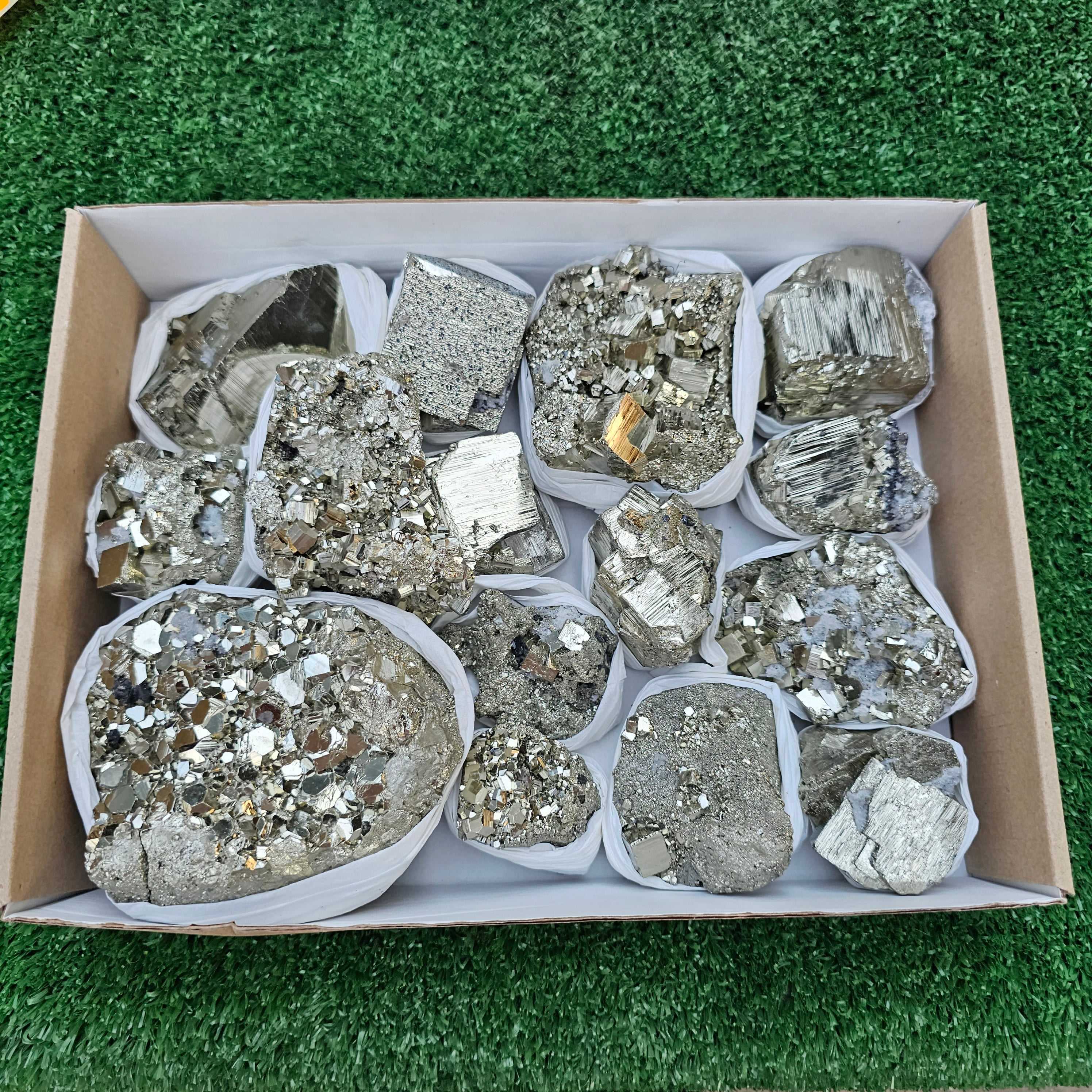 15 pc Pyrite Cubic – INKA MINERALS PERU